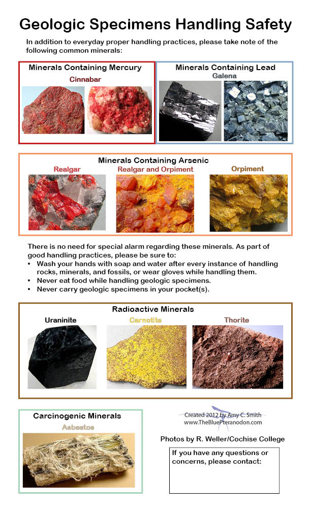 The Blue Pteranodon's Education Nook